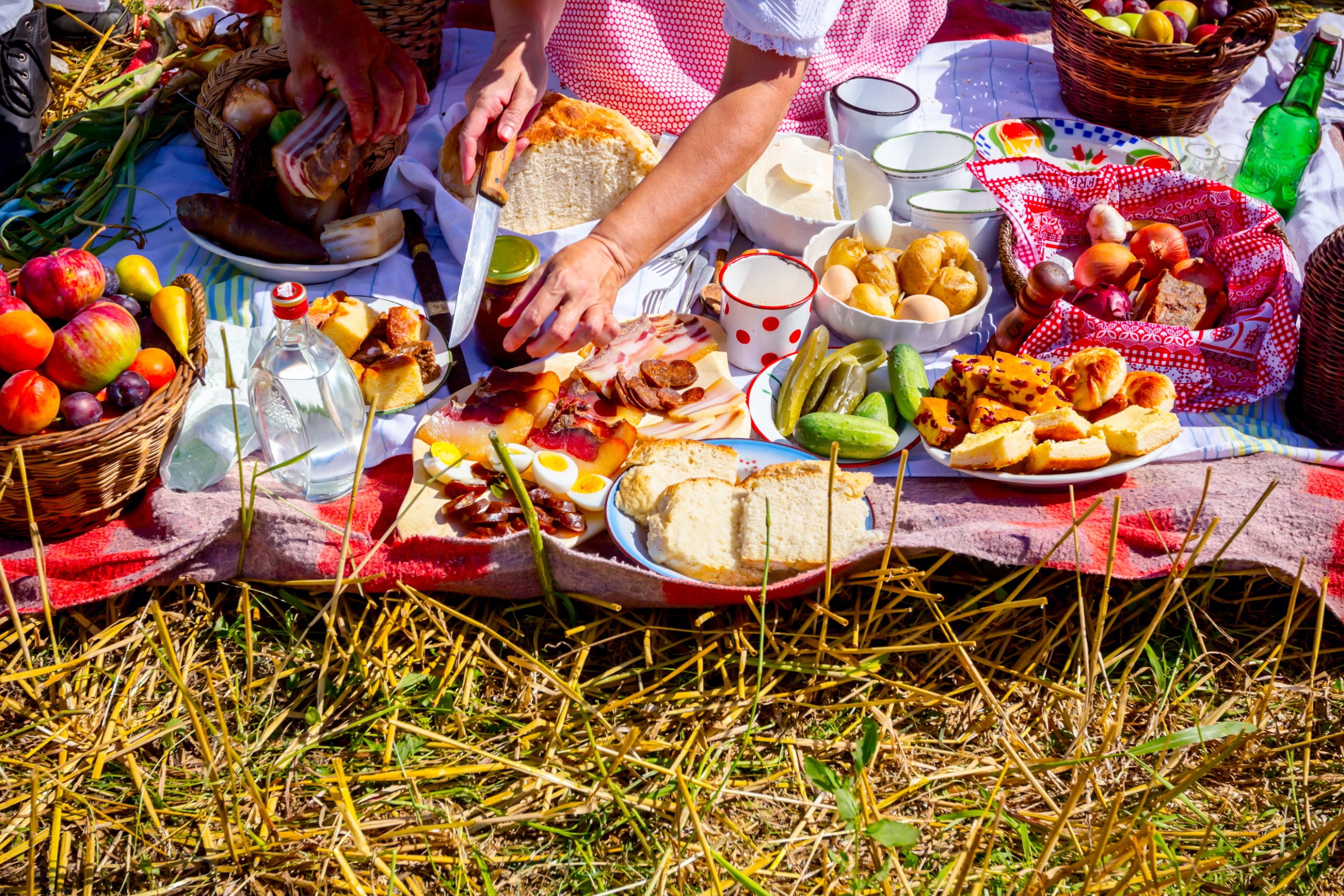 Ghid pentru organizarea unui picnic perfect în parc. Ce nu trebuie să ...