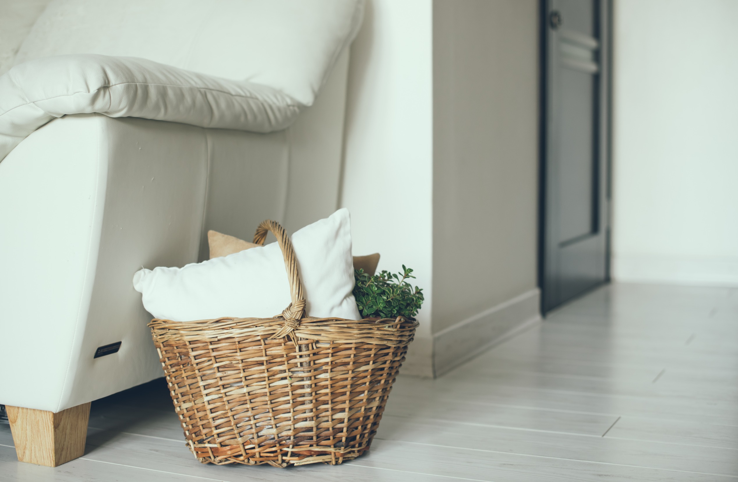 Când se pune busuioc sub pernă în 2024 | Viva.ro